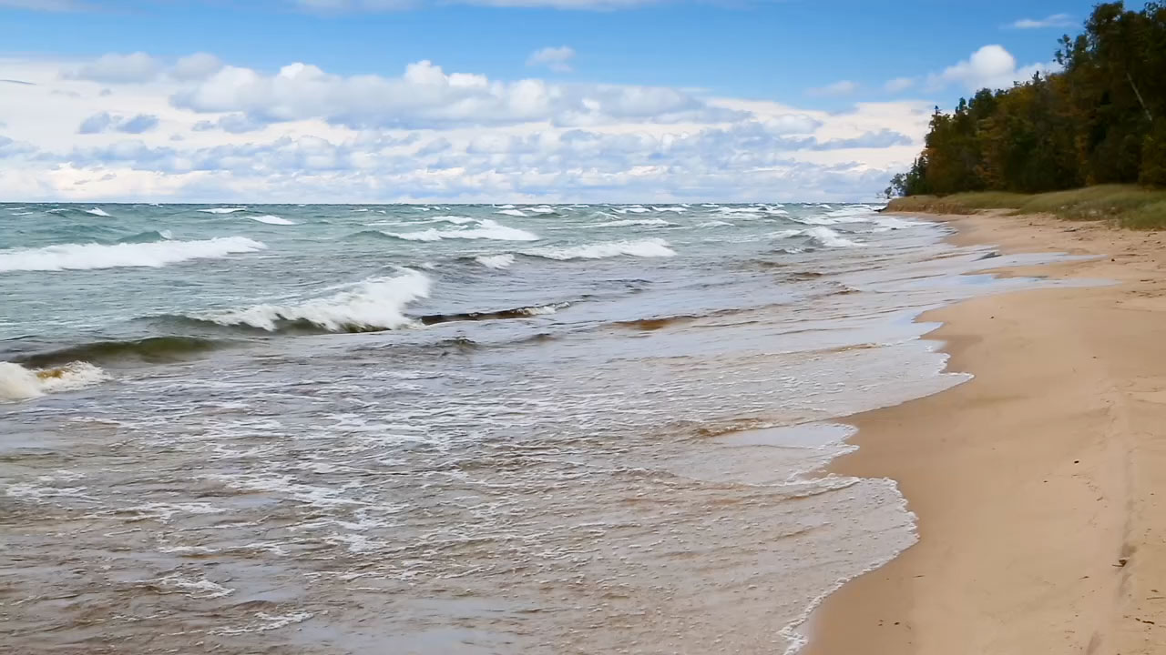 Scott Schulz, DDS | Traverse City East Jordan MI Orthodontist